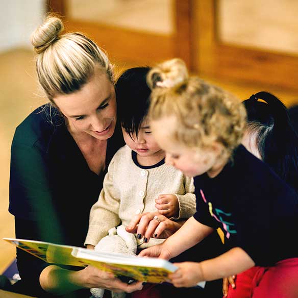 Bear Park Remuera - Bear Park