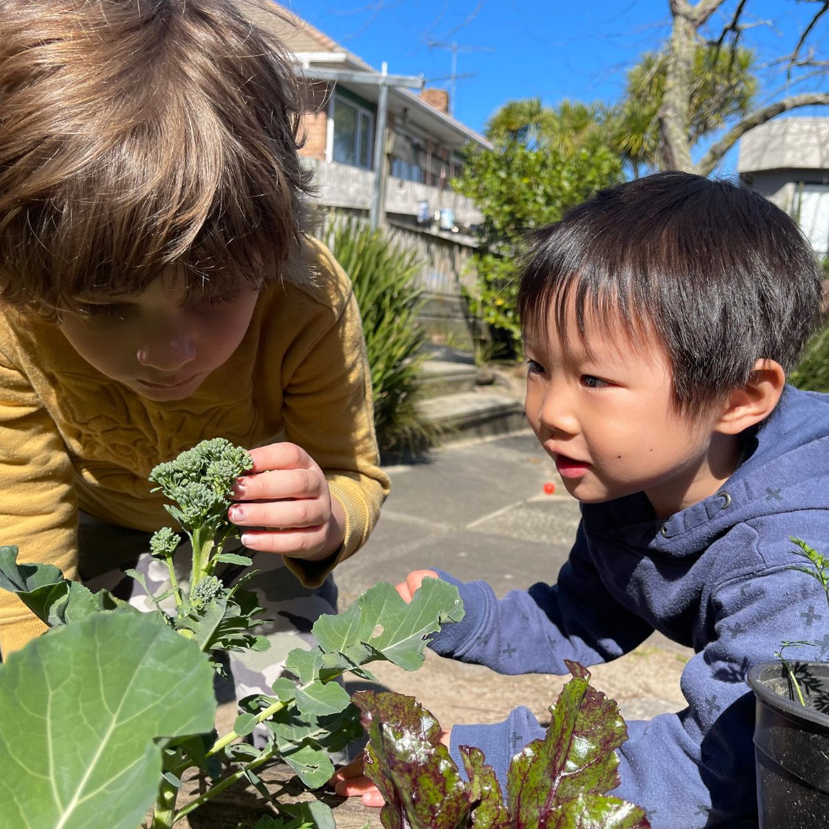 Awakening our Relationship as a Kaitiaki - Laura Westwater - Bear Park